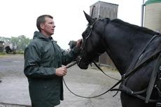 Flexothane Essential Dover Jacket Olive Green from Sioen – Riding & Harness Stuff