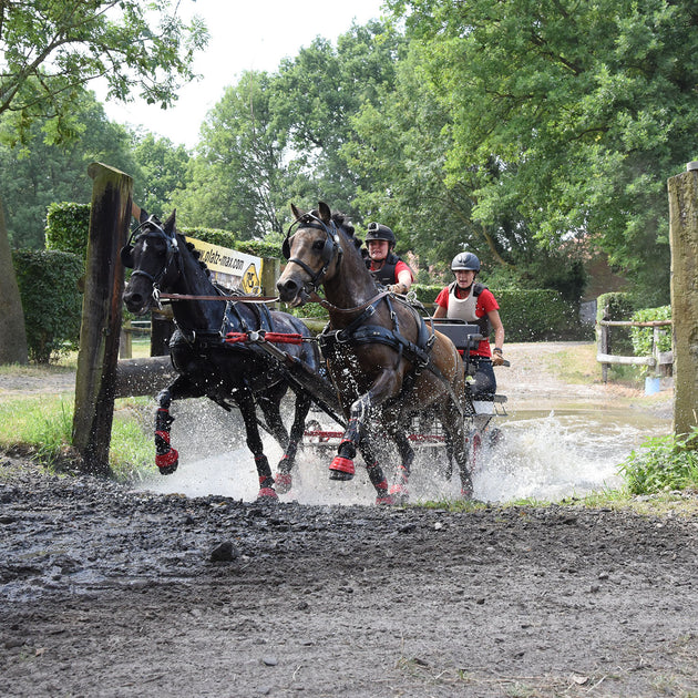 The Evolution of Combined Driving – Riding & Harness Stuff