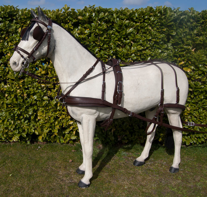Driving Harness - What are all the parts called? – Riding & Harness Stuff