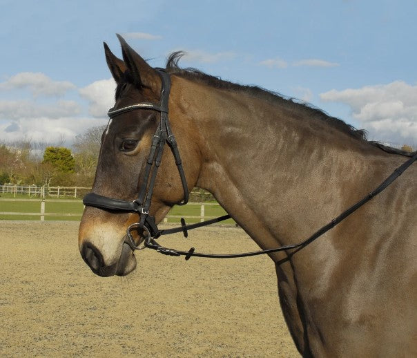 Your Guide to Anatomical Bridles – Riding & Harness Stuff