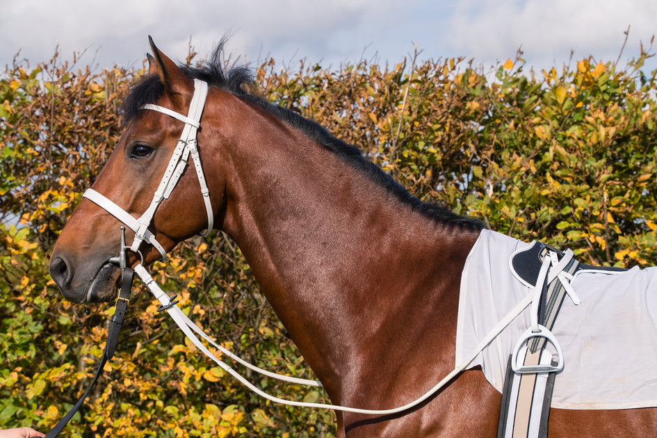 Zilco Race Bridles – Riding & Harness Stuff