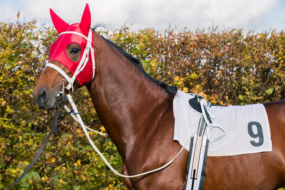 Zilco Race Reins – Riding & Harness Stuff