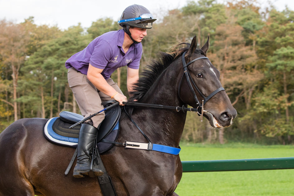 Zilco Racing Saddle Cloths – Riding & Harness Stuff