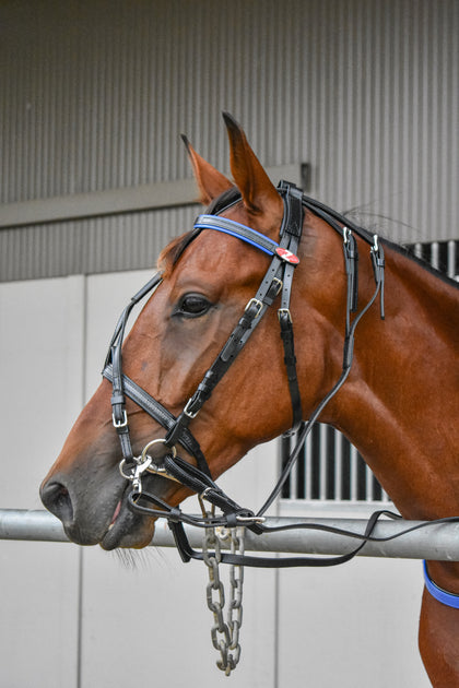 Zilco Harness Racing Bits – Page 2 – Riding & Harness Stuff