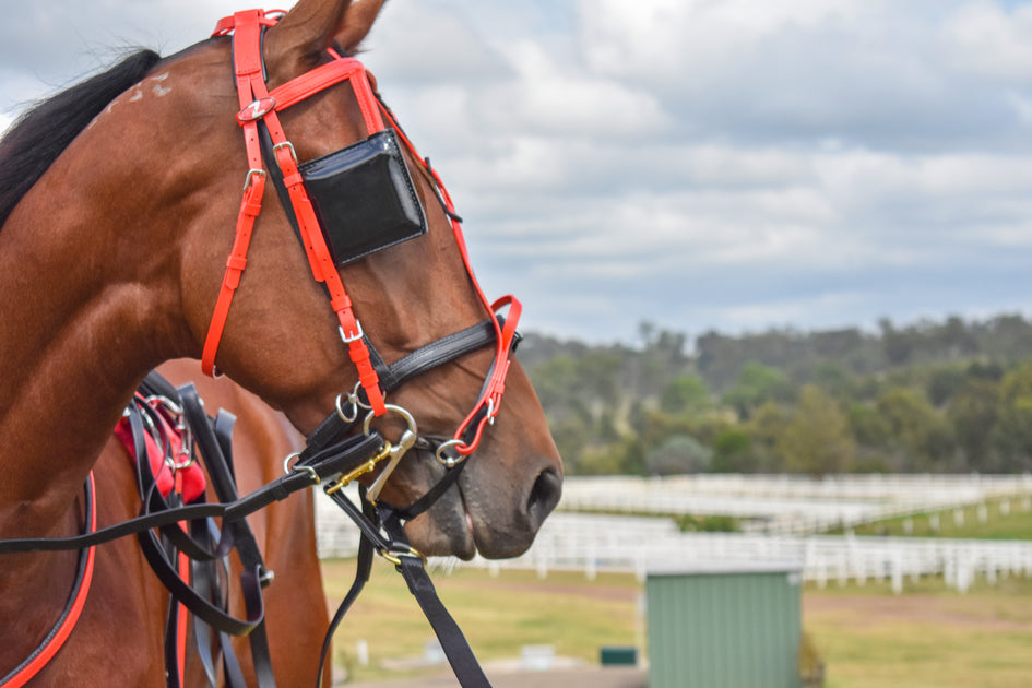 Zilco Harness Racing Sets – Riding & Harness Stuff