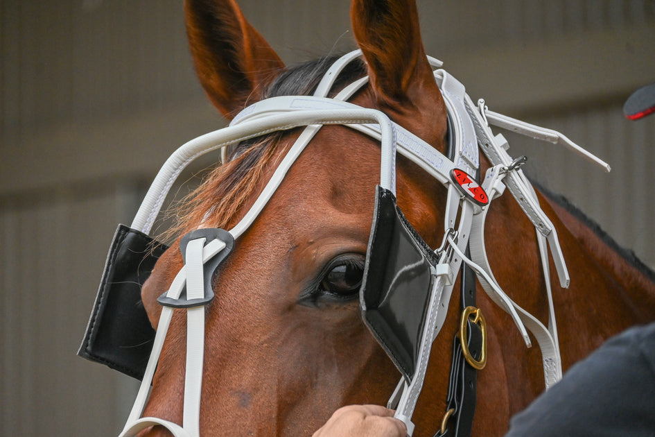 Zilco Harness Racing Bridles, Blinds & Nosebands – Riding & Harness Stuff