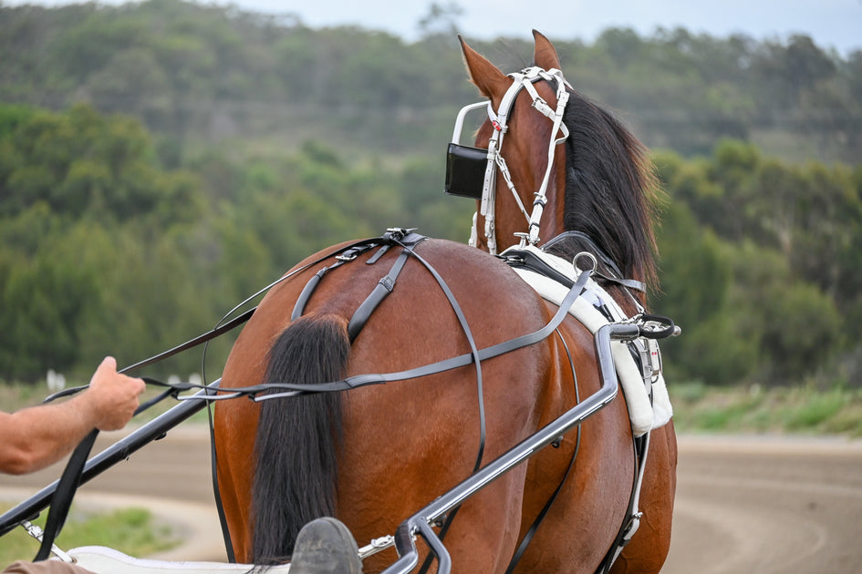 Zilco Harness Racing Reins – Riding & Harness Stuff