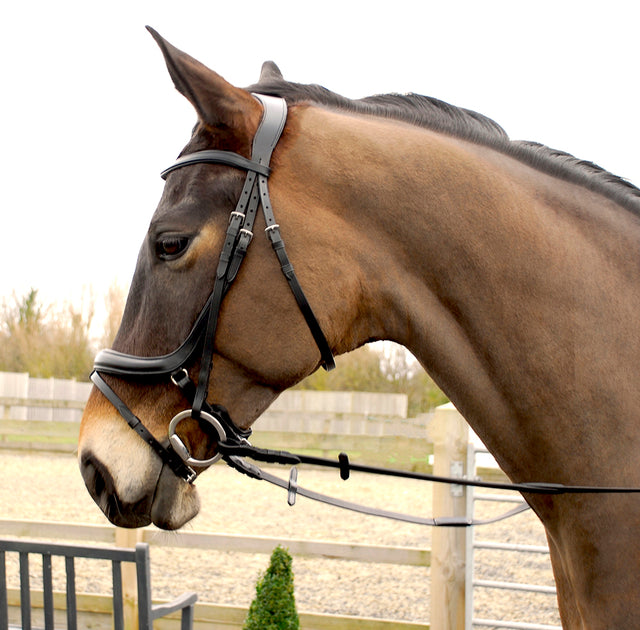 Anatomical Bridles – Riding & Harness Stuff