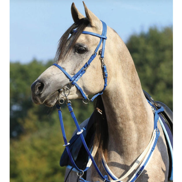 Endurance Bridles - Zilco Horse Bridles | Riding & Harness Stuff