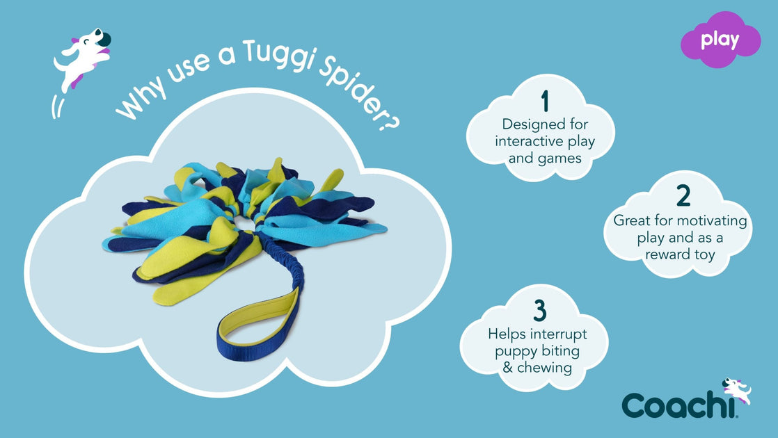 Coachi Tuggi Spider – Riding & Harness Stuff