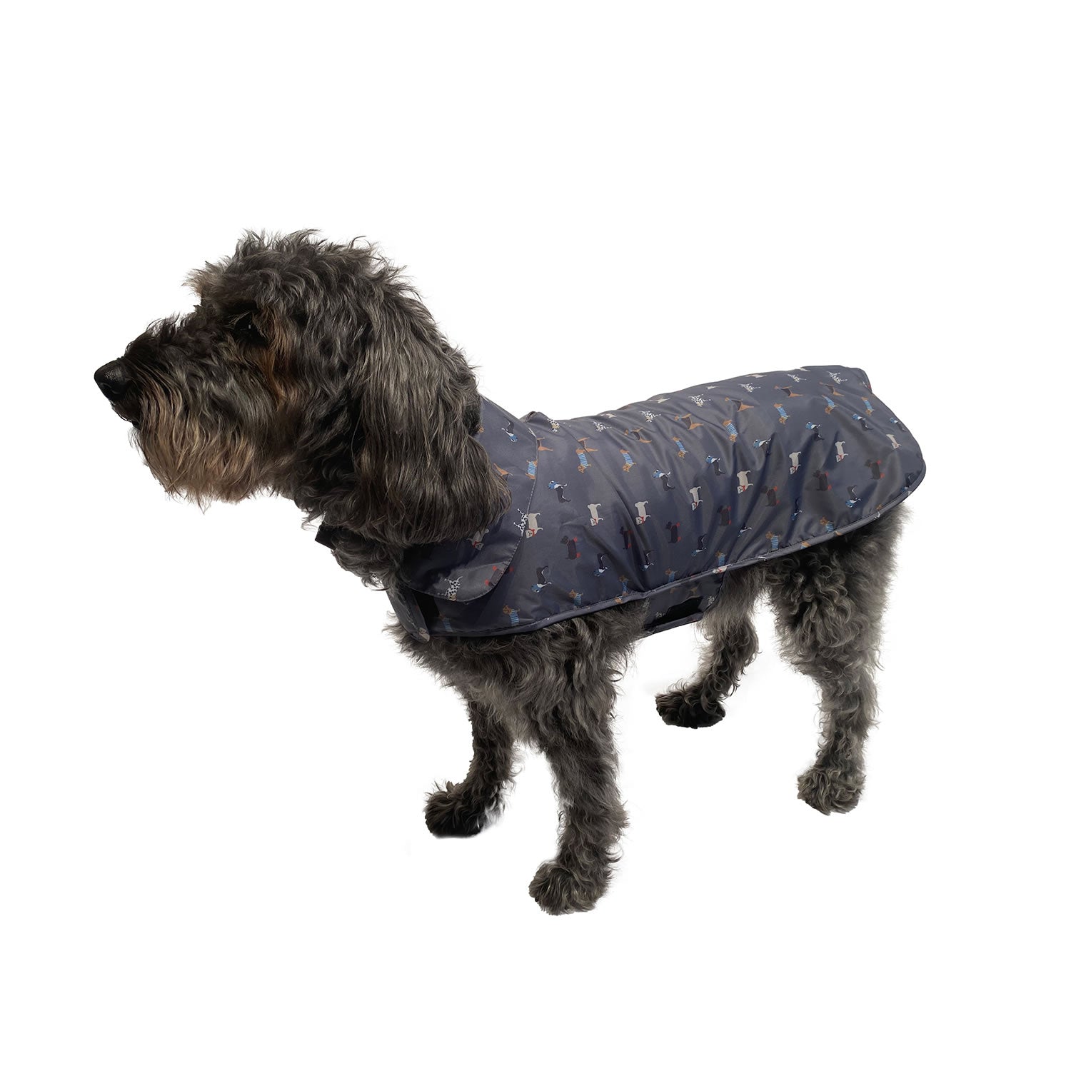 Danish Design Fatface Marching Dogs Dog Rain Coat – Riding & Harness Stuff