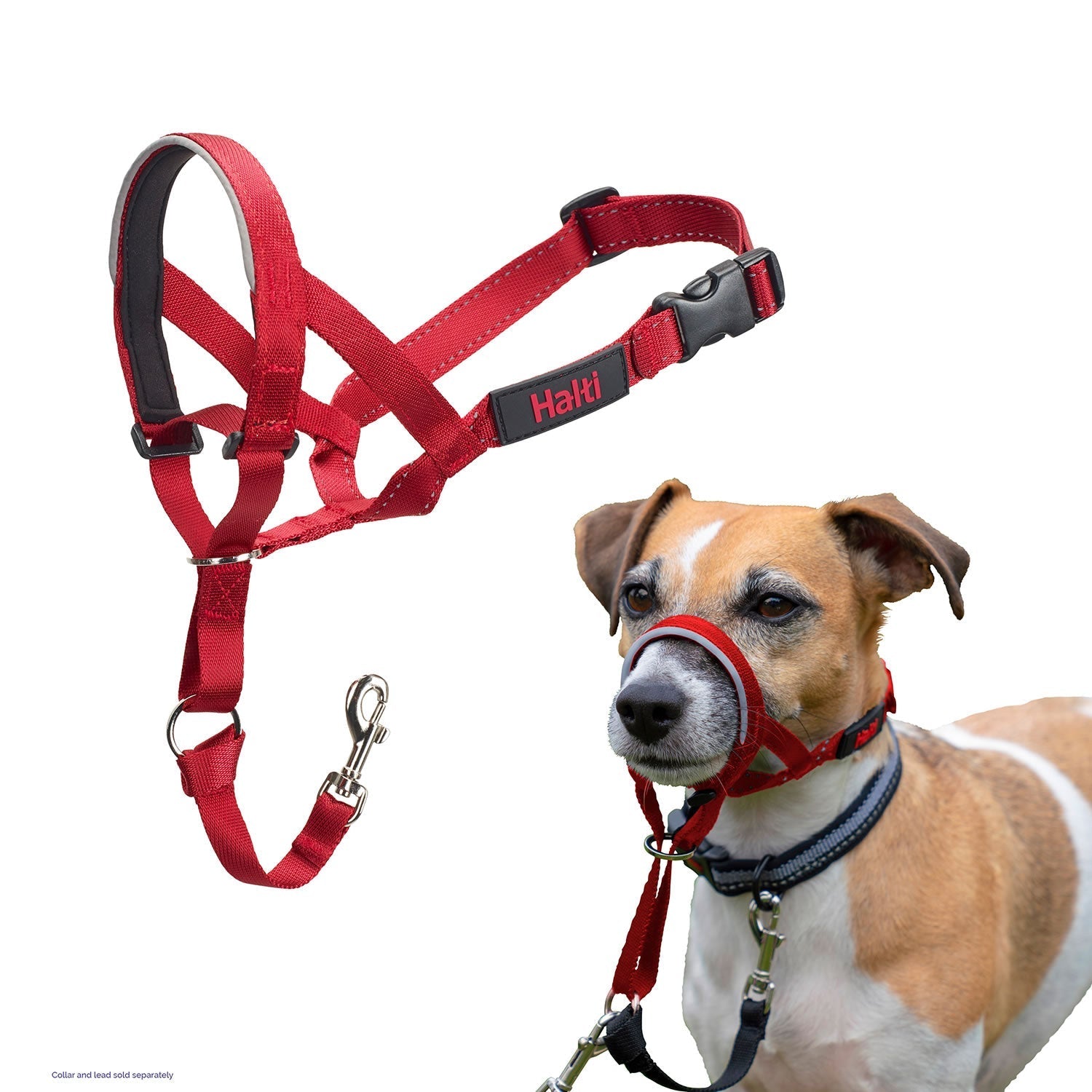 Halti Headcollar Dog Collar from Halti – Riding & Harness Stuff