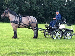 Heavy Horse Harness from Ideal – Riding & Harness Stuff