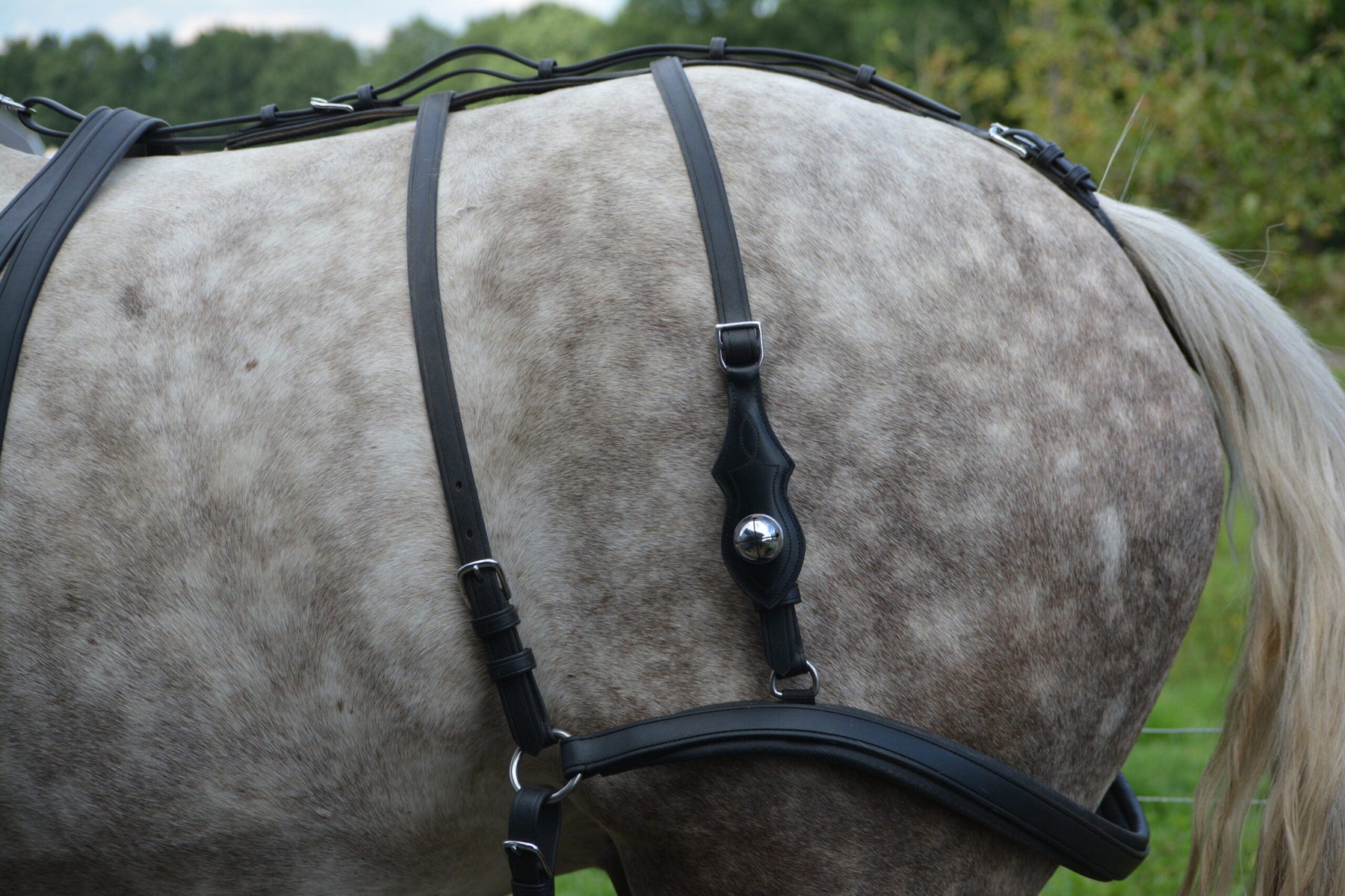 Riding, harness and equestrian equipment – Riding & Harness Stuff