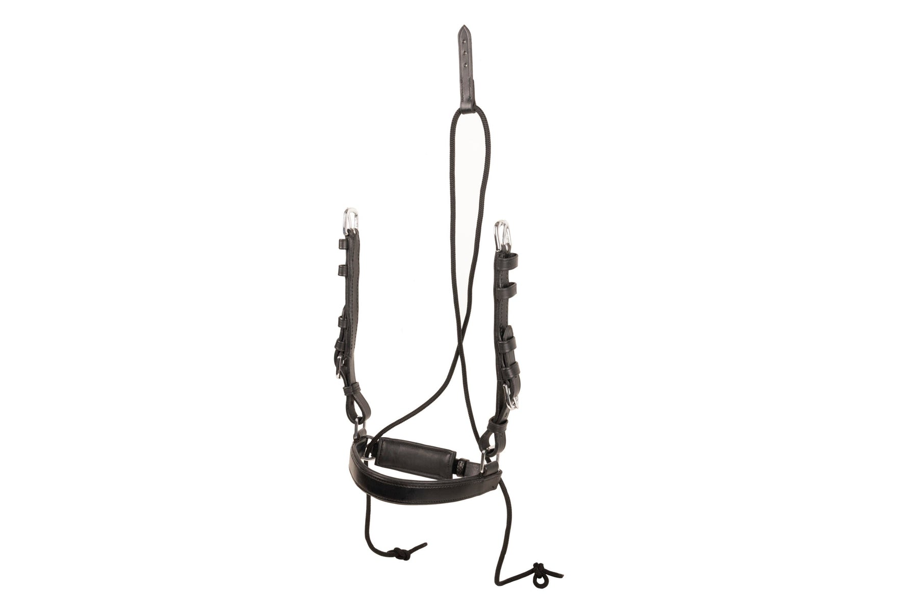 Ideal Bitless Noseband for Driving Bridle – Riding & Harness Stuff
