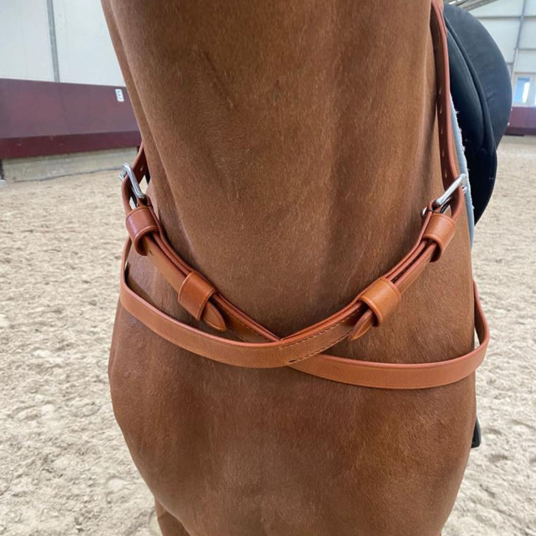 Lungeing Equipment & Schooling Aids – Riding & Harness Stuff