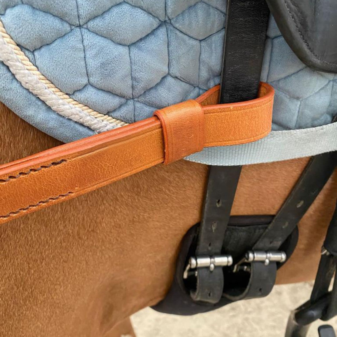 Lungeing Equipment & Schooling Aids – Riding & Harness Stuff