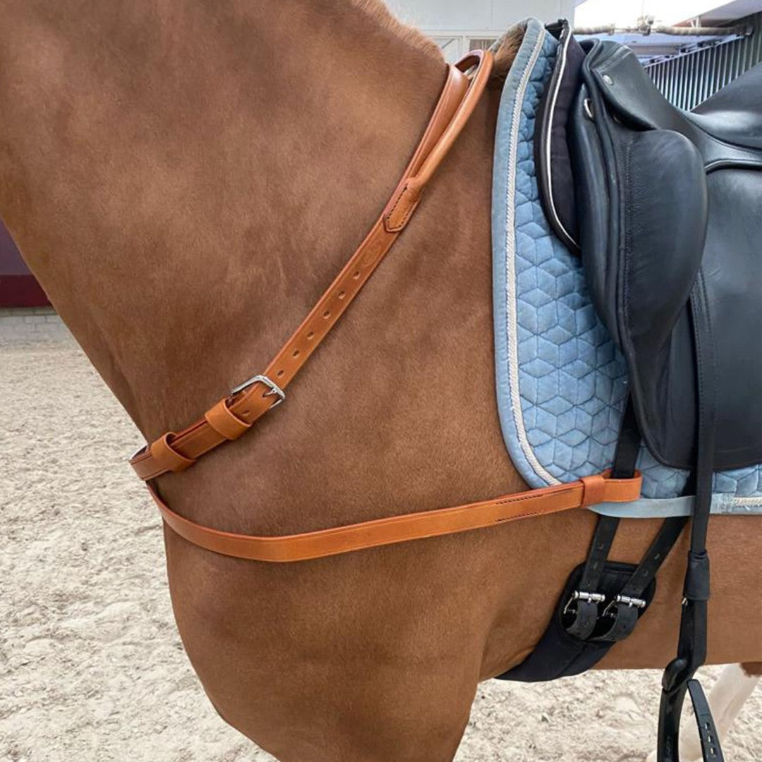 Lungeing Equipment & Schooling Aids – Riding & Harness Stuff