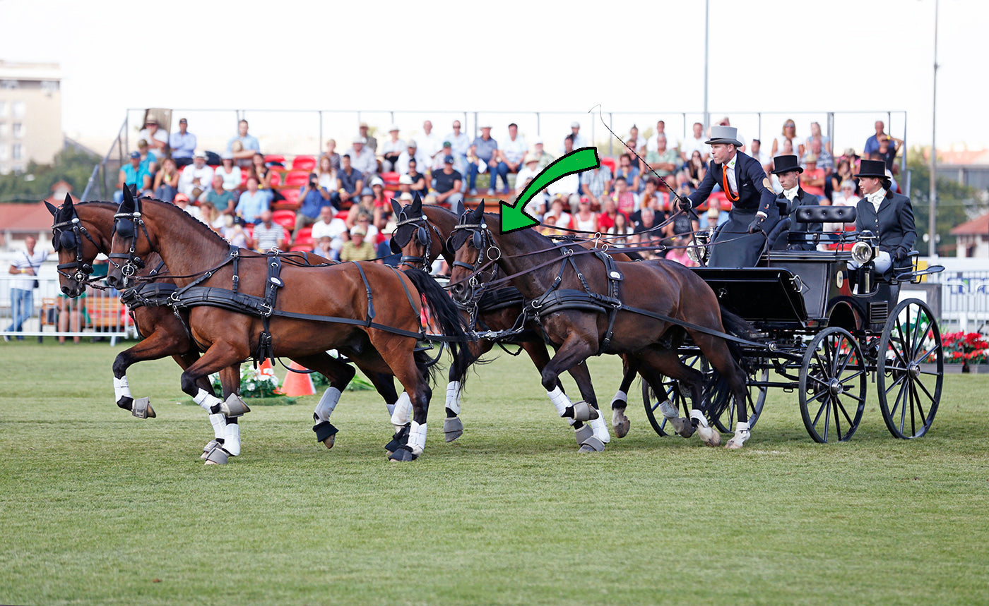 Riding, harness and equestrian equipment – Riding & Harness Stuff