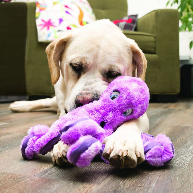 Kong Softseas Octopus Dog Toy from Kong – Riding & Harness Stuff