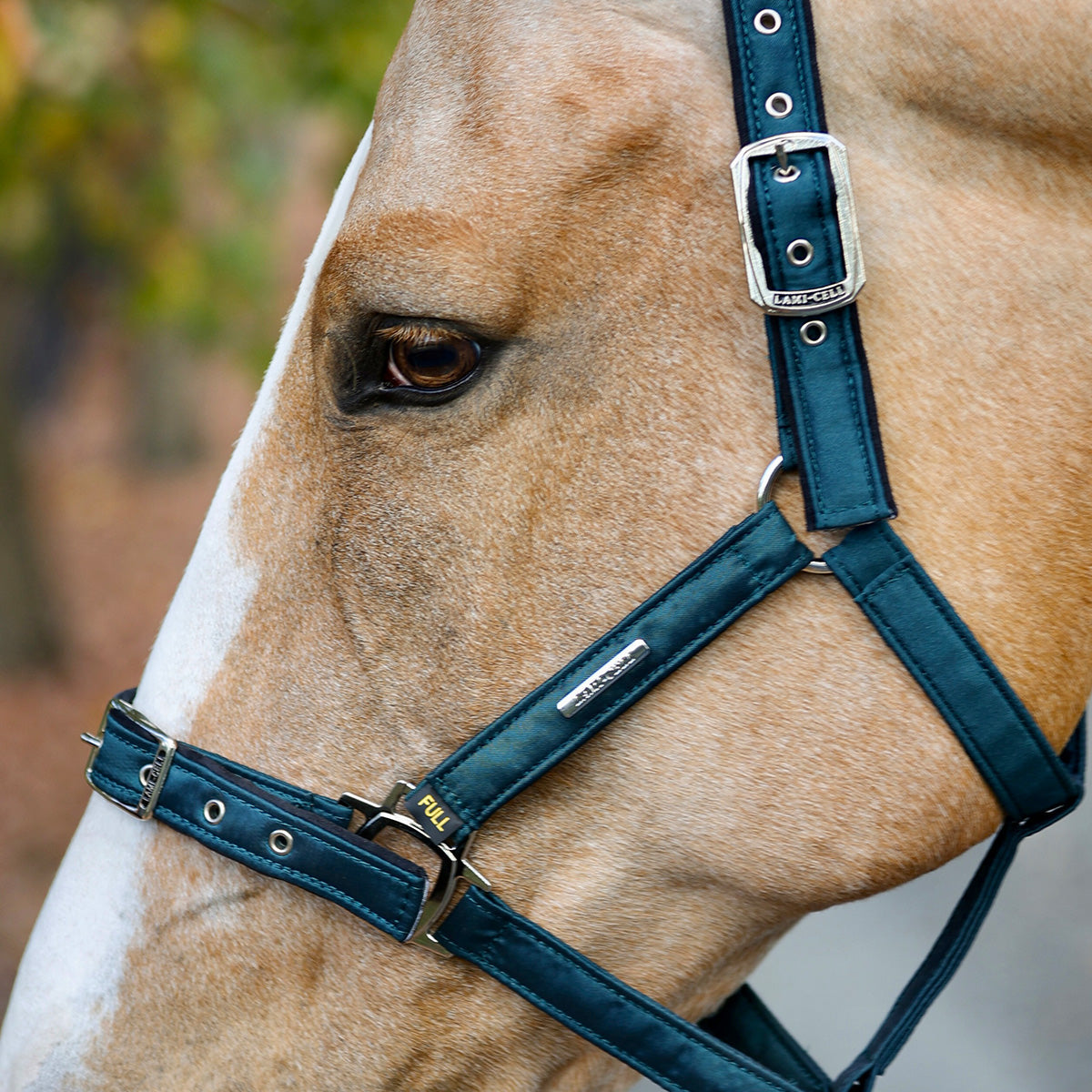 Lami-Cell Aurora Halter – Riding & Harness Stuff