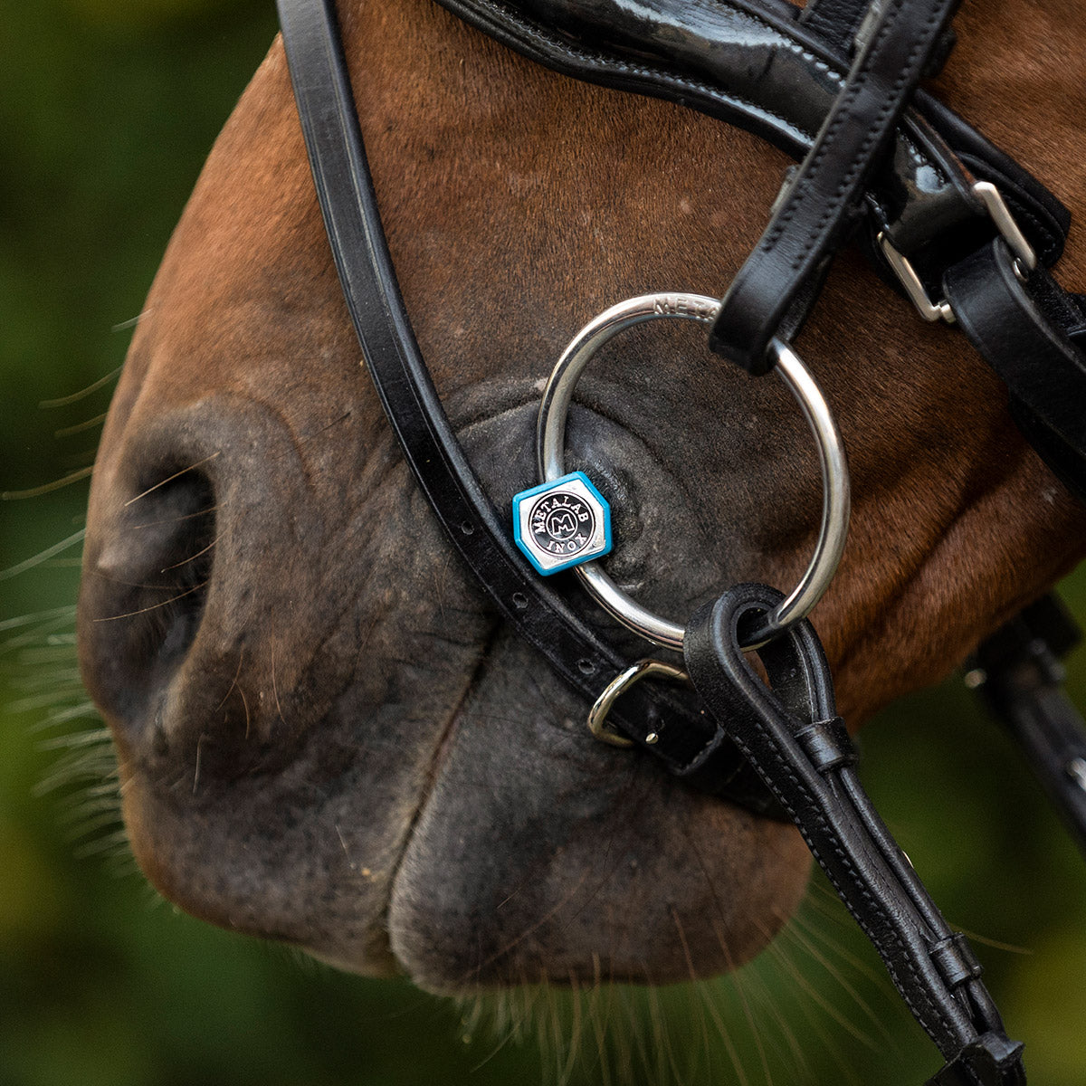 Metalab Flexible Snaffle Mullen Bit – Riding & Harness Stuff