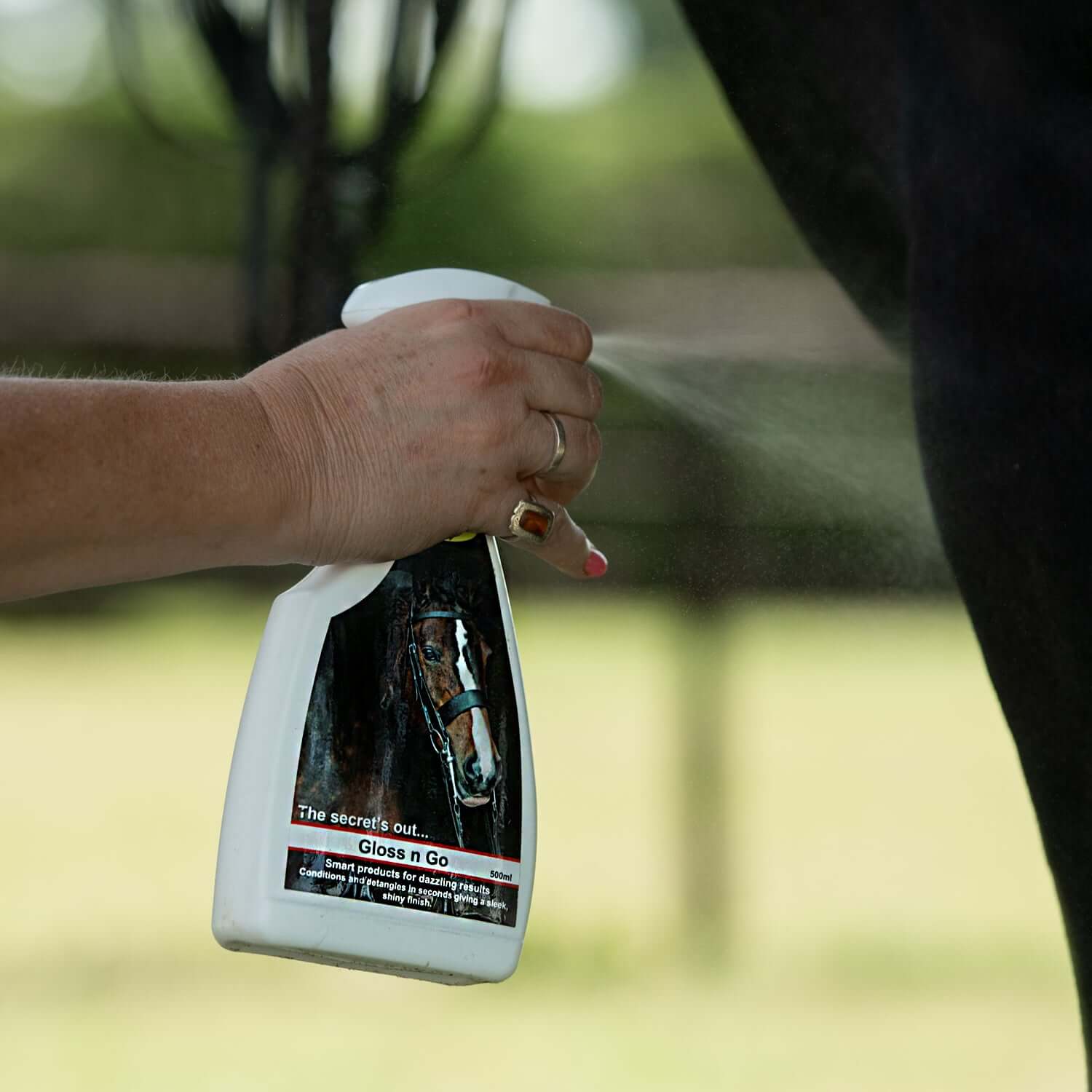 Smart Grooming Gloss N Go from Smart Grooming – Riding & Harness Stuff