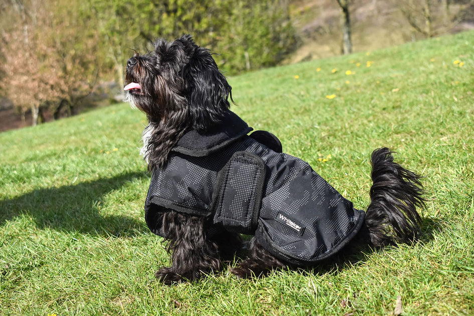 Whitaker Sydney Dog Coat – Riding & Harness Stuff