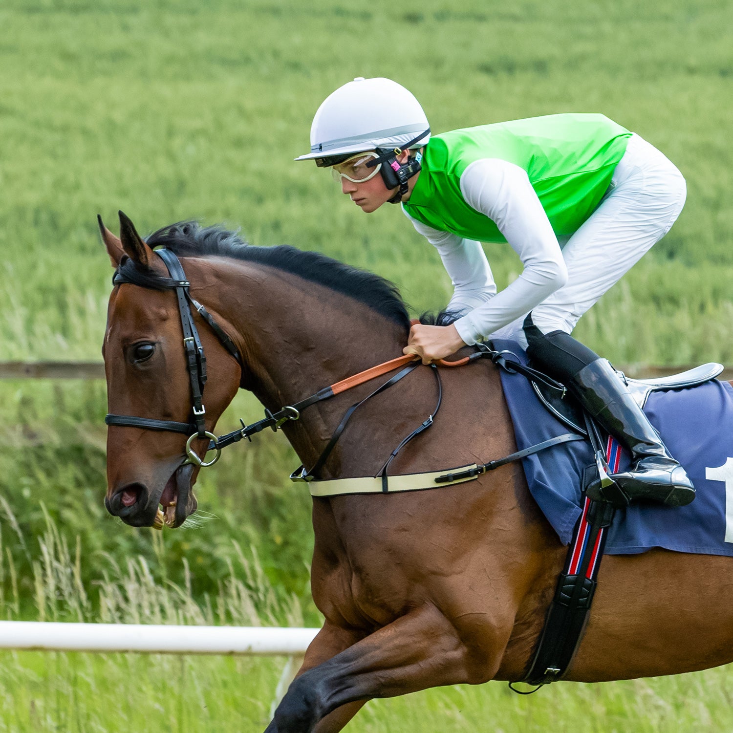 Zilco Pony Racing – Riding & Harness Stuff