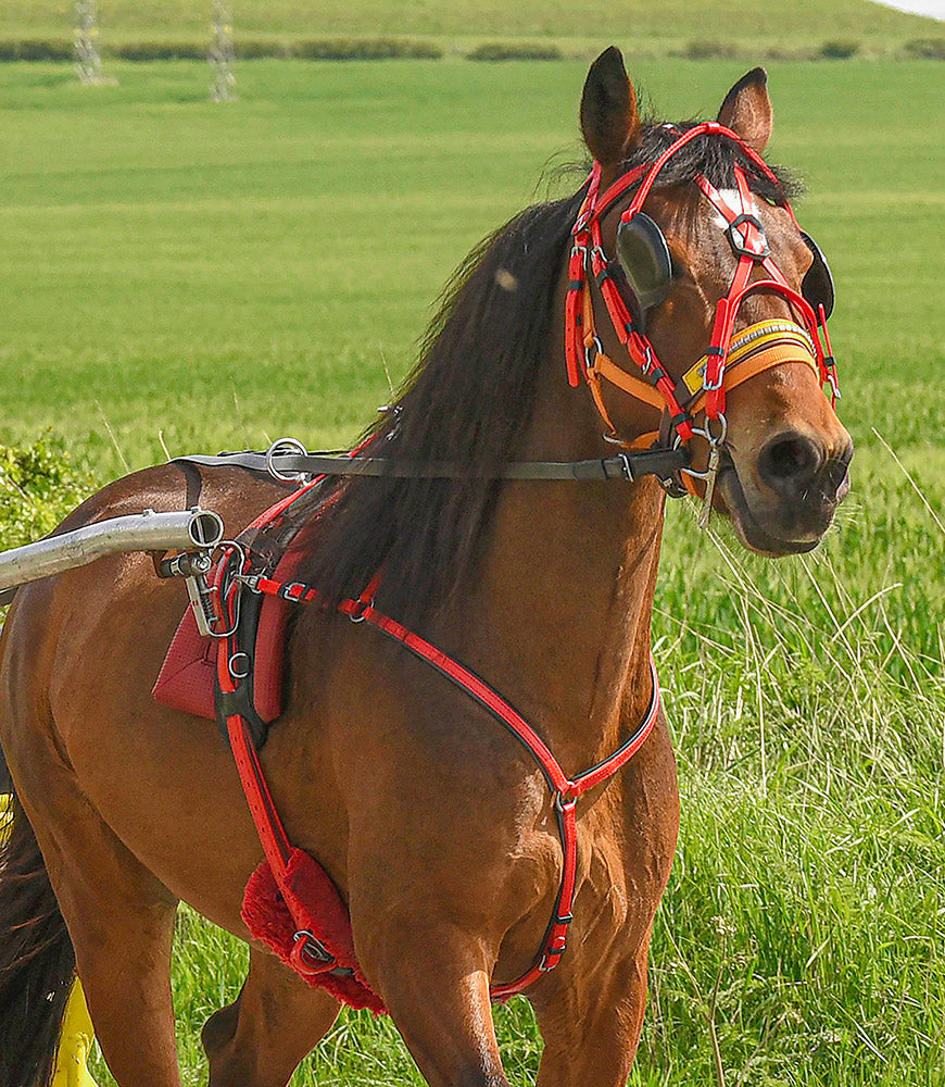 Zilco Pony Trot Quick Hitch Harness Set from Zilco – Riding & Harness Stuff