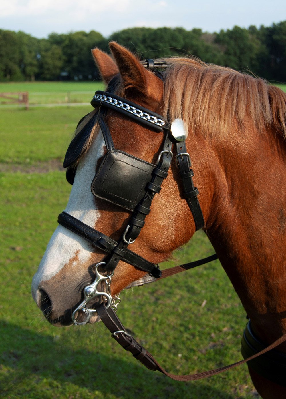 Driving Harness Sets – Riding & Harness Stuff