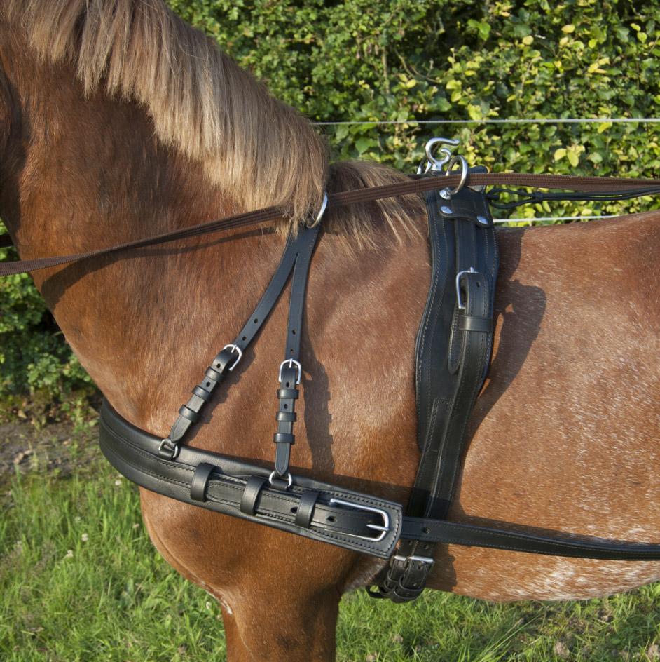 Driving Harness Sets – Riding & Harness Stuff