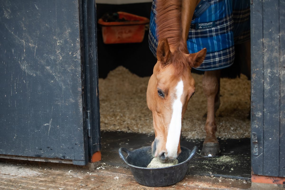 Equilibrium Vitamunch Marvellous Meadow from Equilibrium Products ...