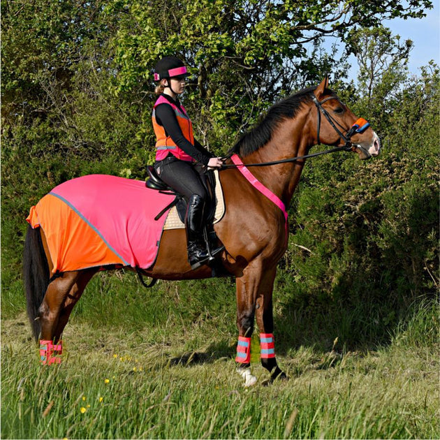 Multi Coloured Mesh Quarter Sheet - Pink/Orange from Equisafety ...