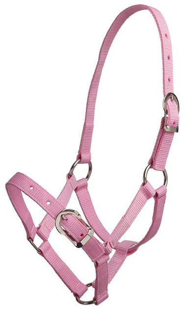 Gymkhana Headcollar Small Pony from Gymkhana – Riding & Harness Stuff