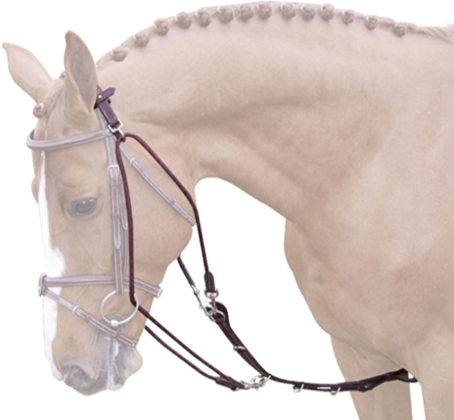 Ideal De Gogue Lunging Aid from Ideal – Riding & Harness Stuff