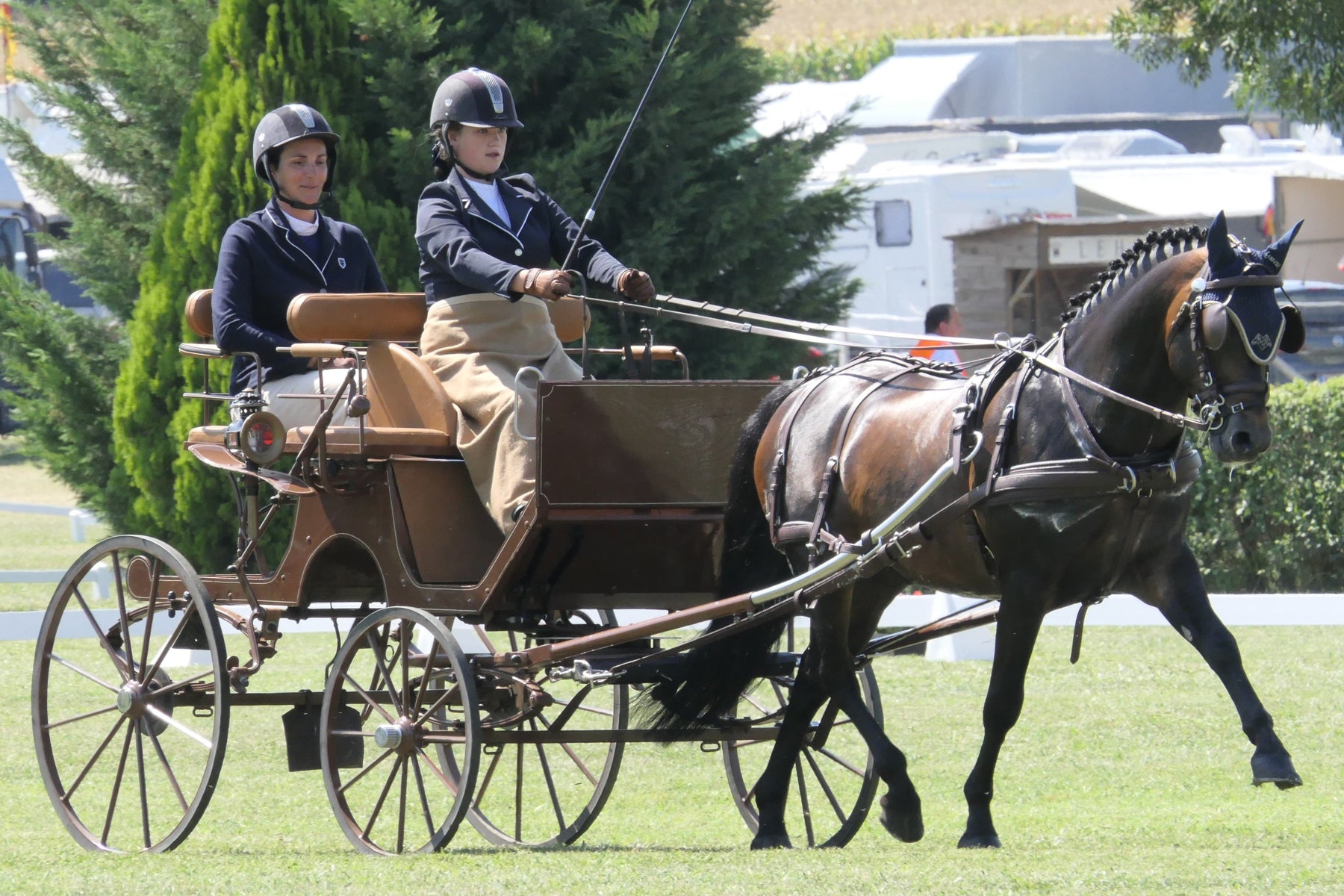 Riding, harness and equestrian equipment – Riding & Harness Stuff