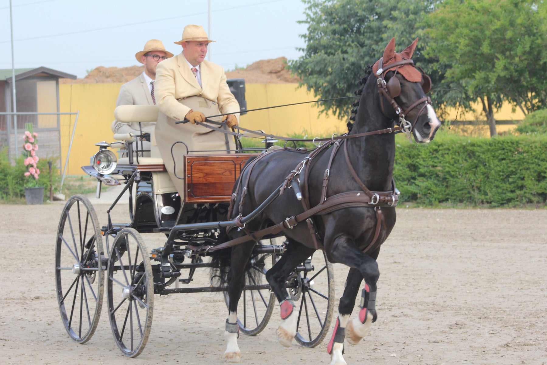 Riding, harness and equestrian equipment – Riding & Harness Stuff