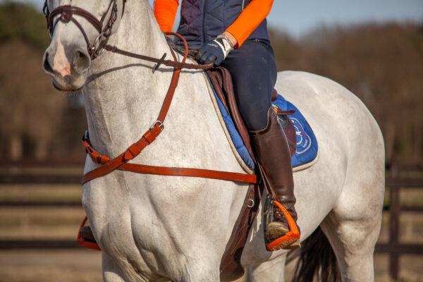 Lungeing Equipment & Schooling Aids – Riding & Harness Stuff