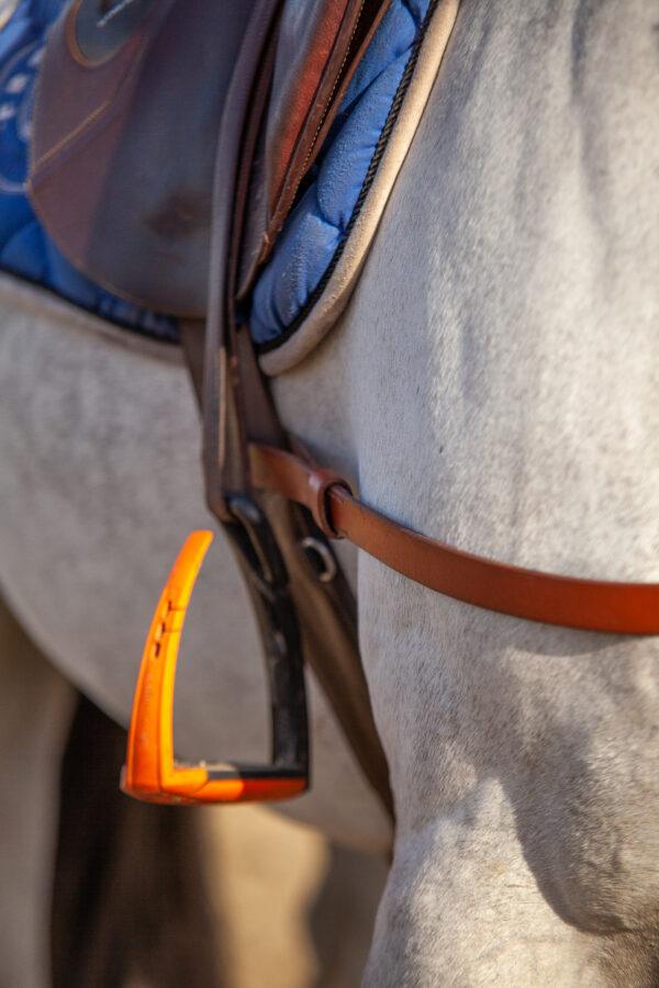 Lungeing Equipment & Schooling Aids – Riding & Harness Stuff