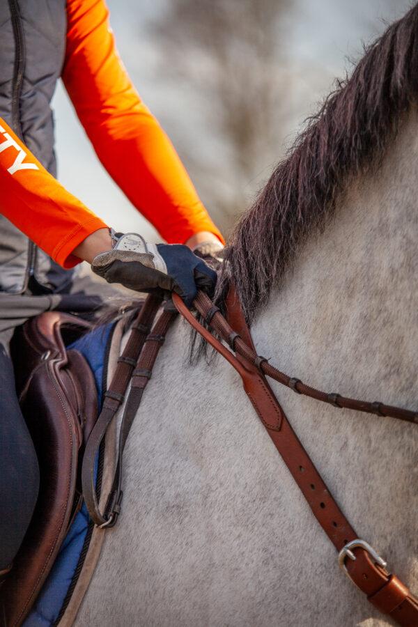 Lungeing Equipment & Schooling Aids – Riding & Harness Stuff
