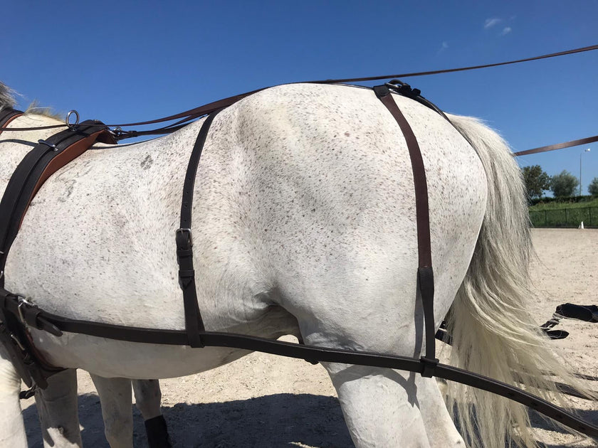 Ideal Marathon Trace Carriers from Ideal – Riding & Harness Stuff