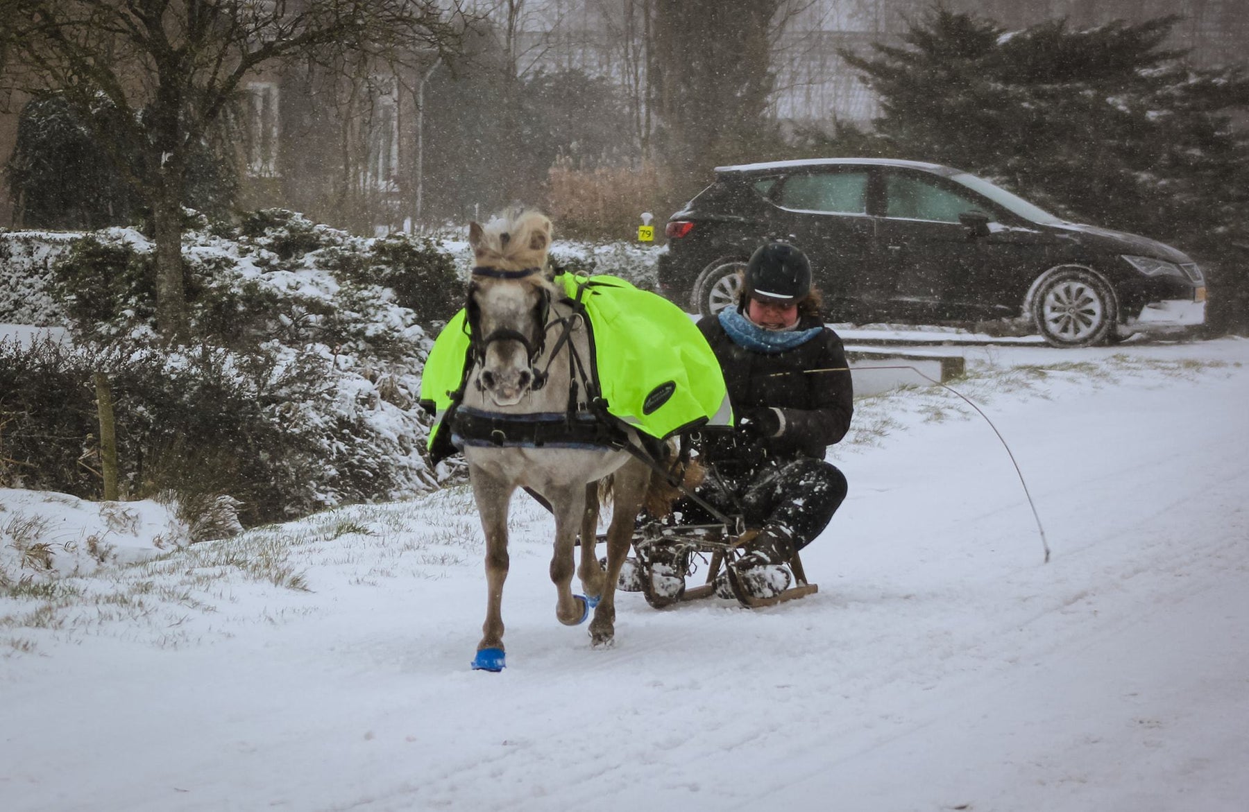 Ideal Reflective Kidney Rug Exercise Driving Rug Rain Sheet from Ideal ...