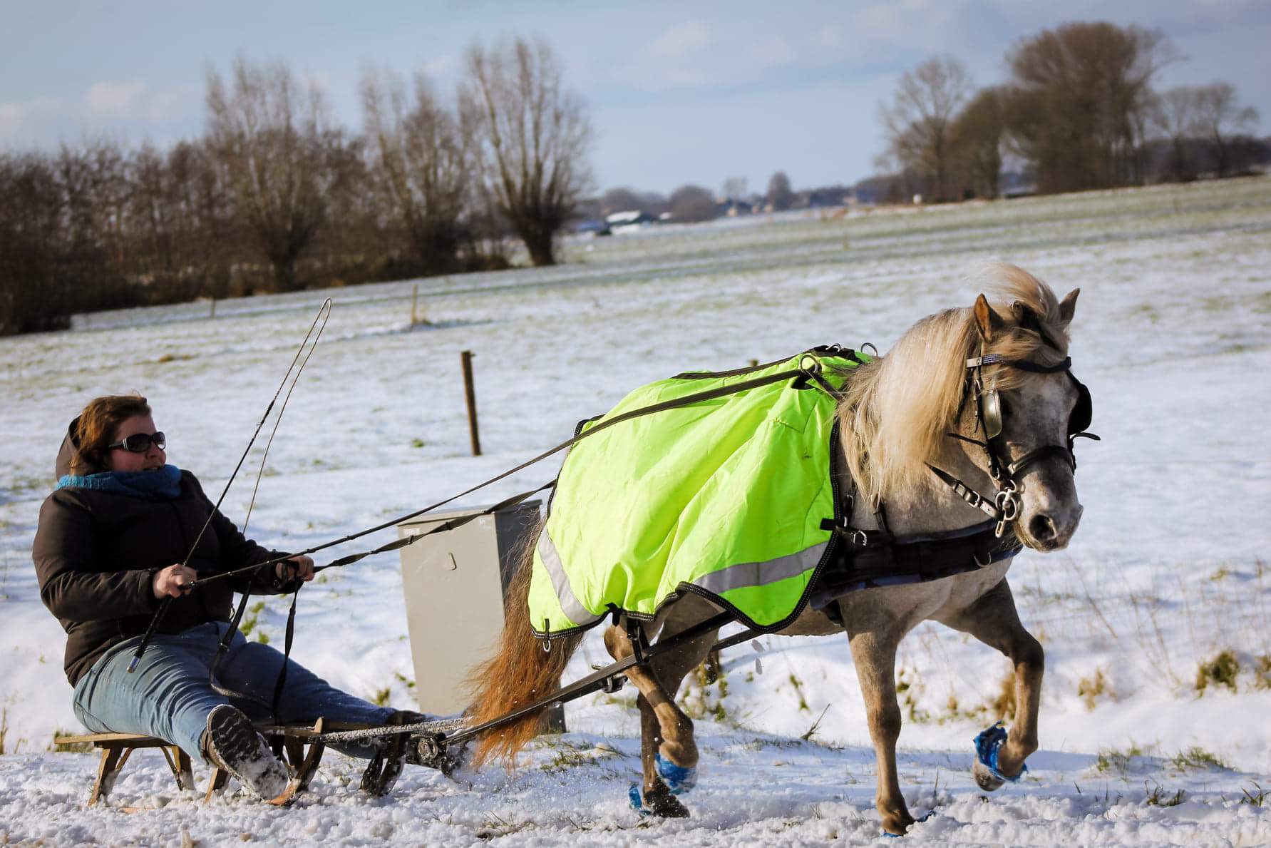 Ideal Reflective Kidney Rug Exercise Driving Rug Rain Sheet from Ideal ...