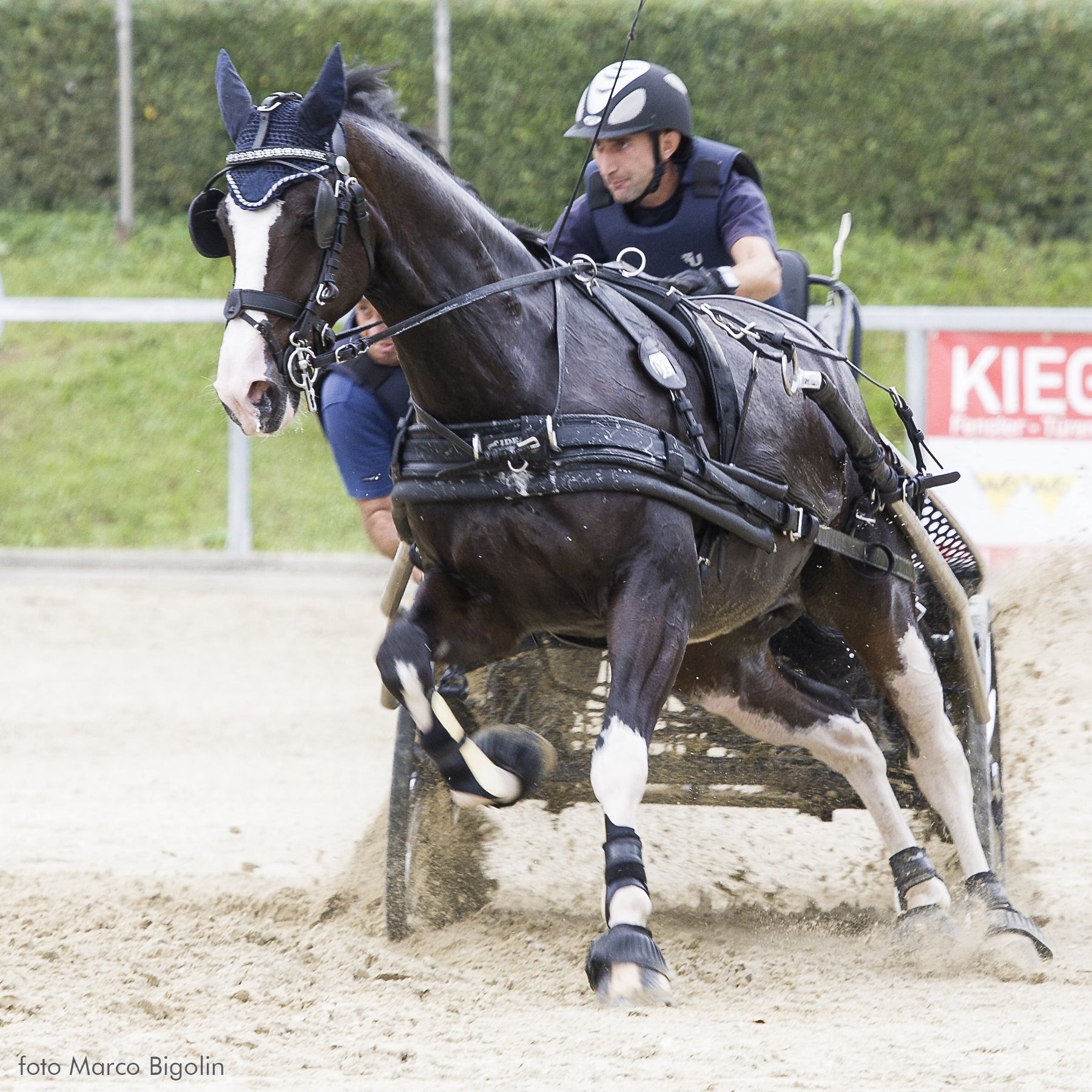 Riding, harness and equestrian equipment – Riding & Harness Stuff