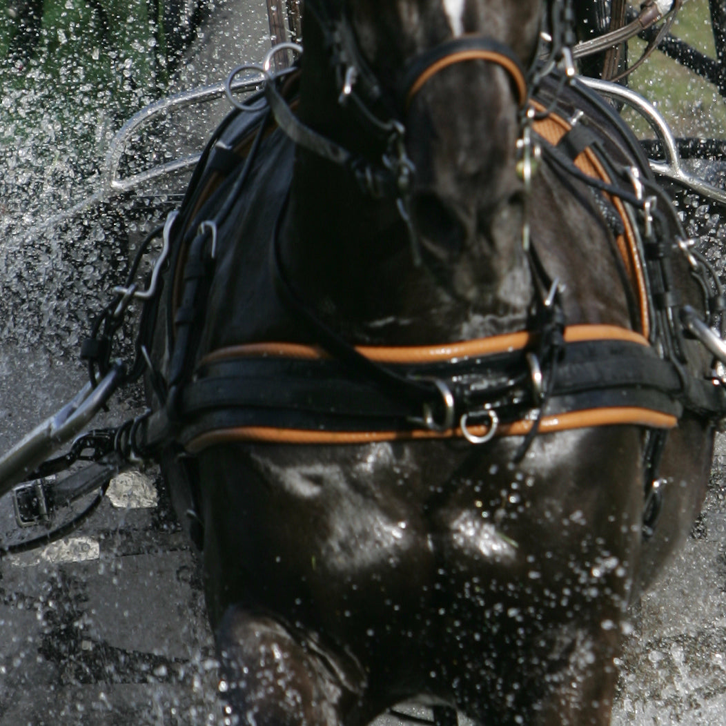 Riding, harness and equestrian equipment – Riding & Harness Stuff