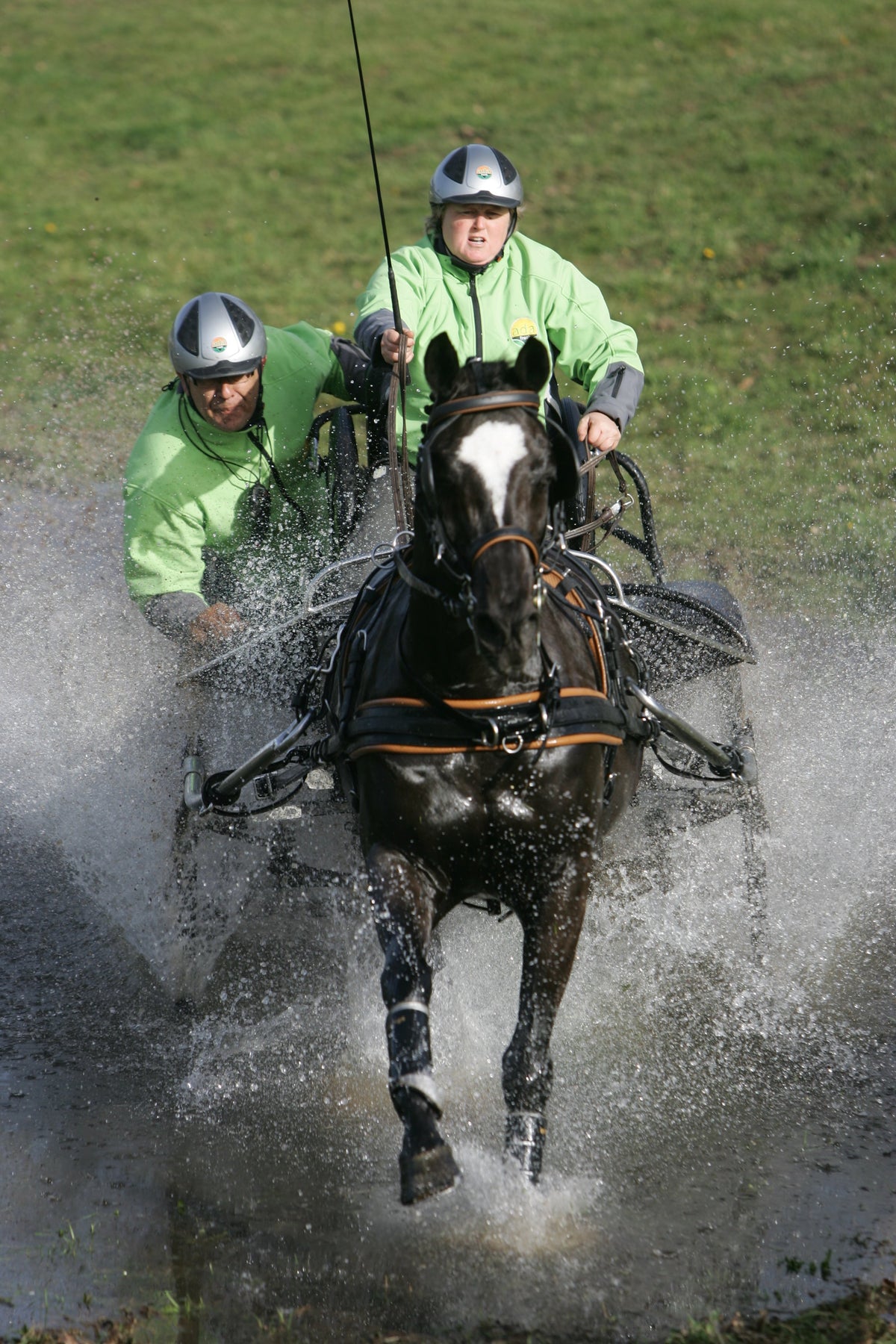 Riding, harness and equestrian equipment – Riding & Harness Stuff