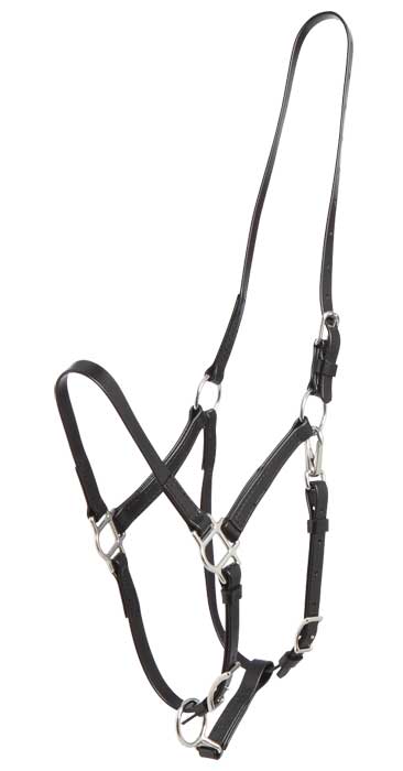 Zilco Deluxe Endurance Bridle 2 Part Stainless Steel Fitting - Halter ...