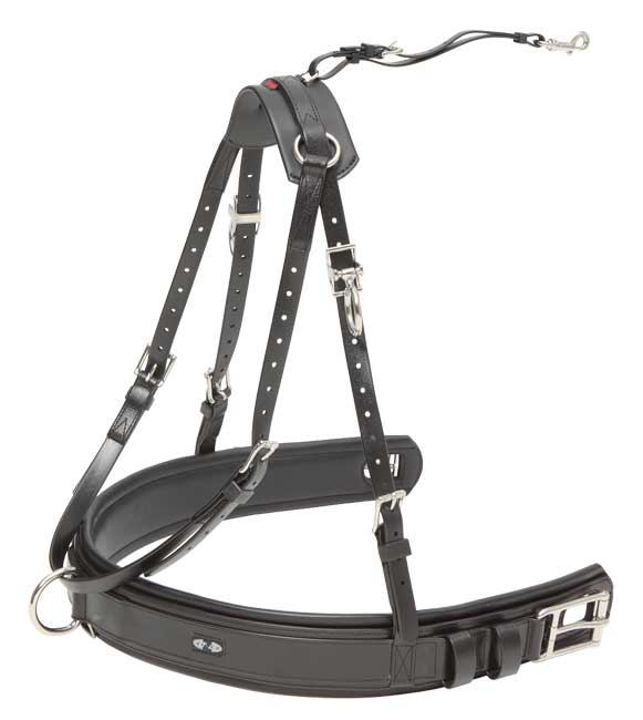 Build Over Time – Riding & Harness Stuff