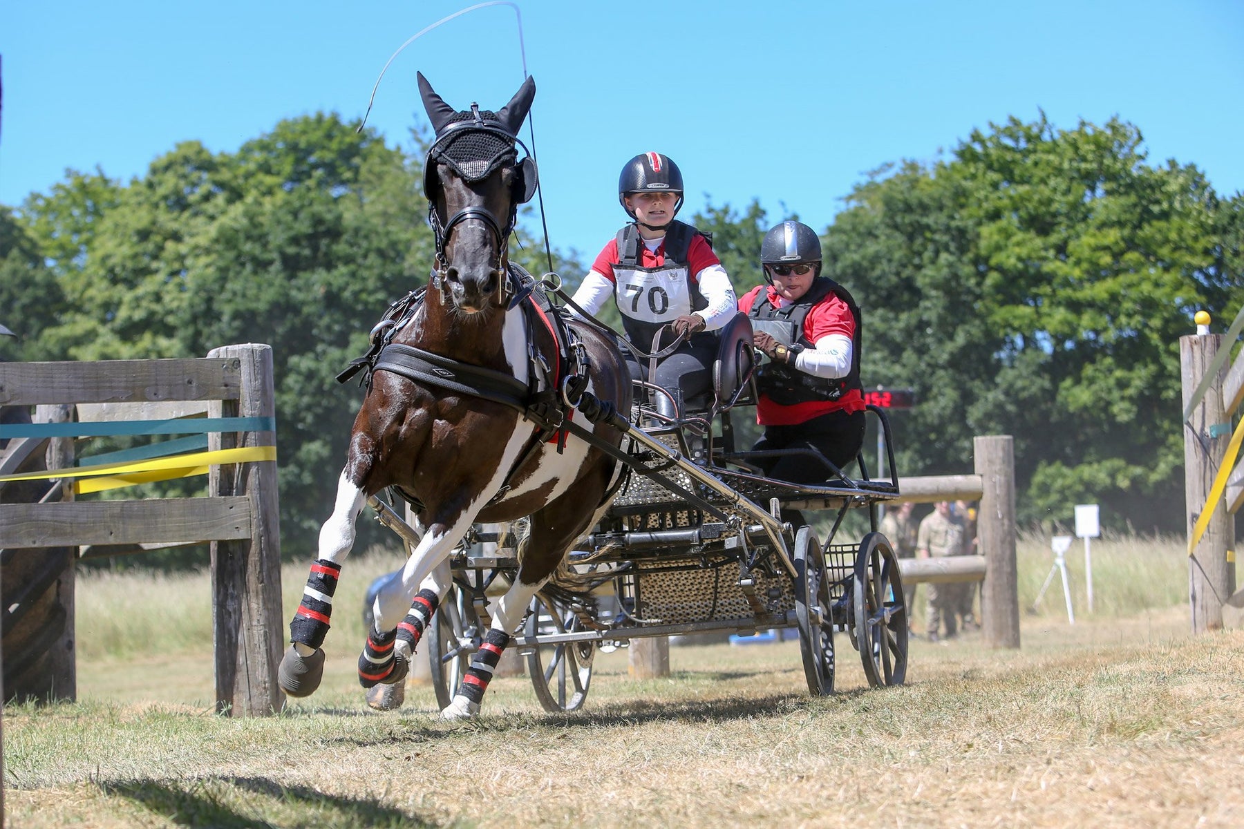 Driving Harness Sets – Riding & Harness Stuff